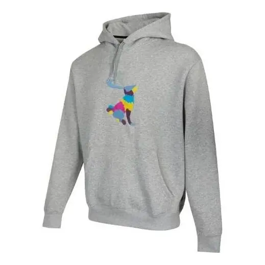 Nike Embroidered Graphic Hoodie - Grey