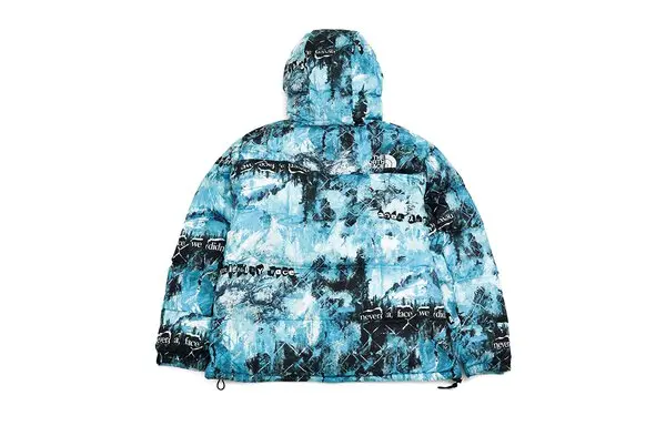 The North Face Himalayan Parka Jacket