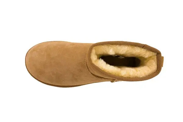 UGG Classic Mini Ii Ankle Boots