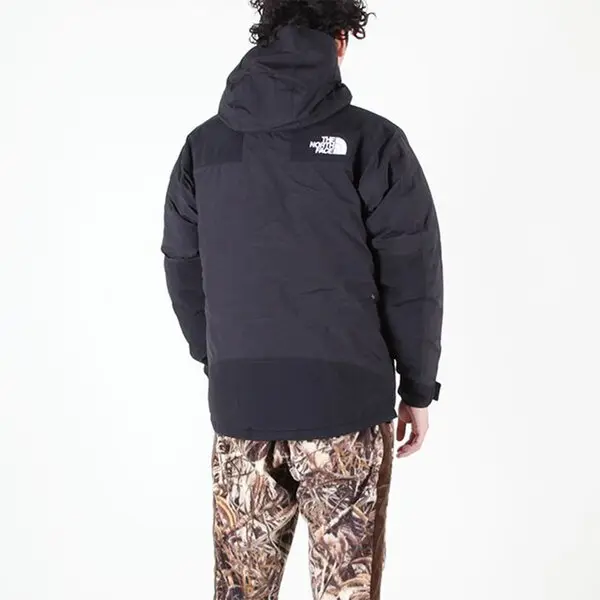 The North Face 19fw-i Mountain Down Jacket