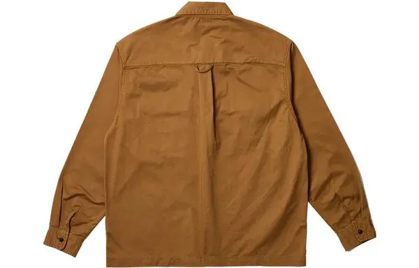 PALACE X Carhartt Wip Longsleeve Master Shirt 'hamilton