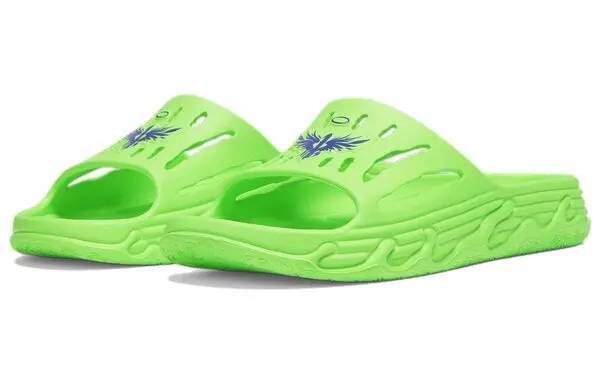 PUMA Slides