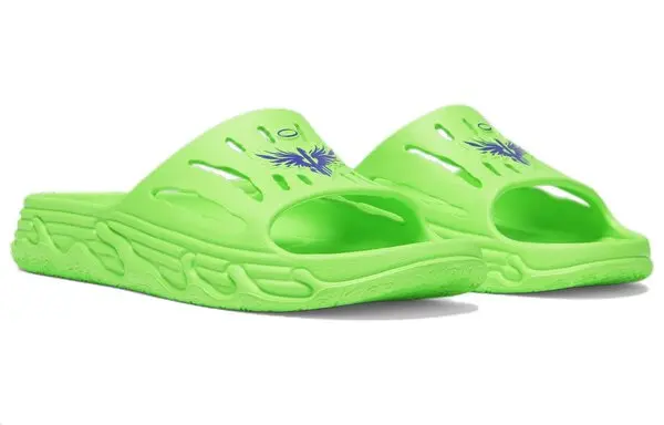PUMA Slides