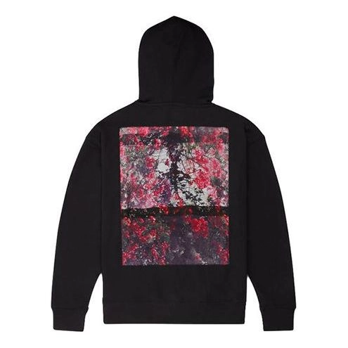 CONVERSE X Shaniqwa Jarvis Pullover Hoodie With Floral Graphic