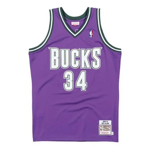 Mitchell & Ness Milwaukee Bucks Ray Allen 2000-01 Authentic Jersey - Multi-color