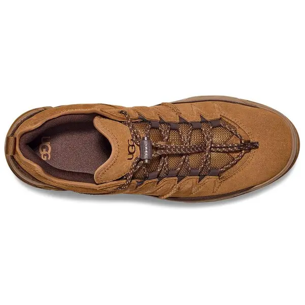 UGG Captrail Low Sneakers - Tan Brown