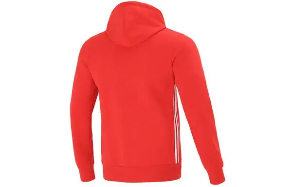 Adidas Graphic Print Hoodie
