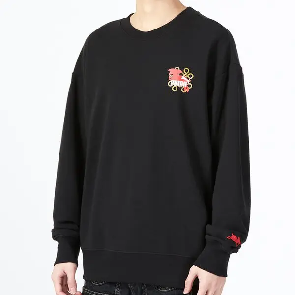 PUMA Essentials Graphic Crew Neck Pullover