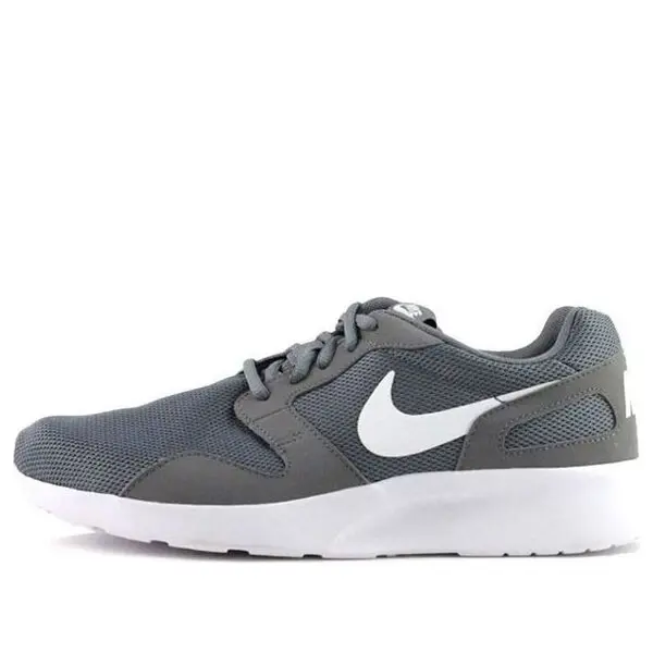 Nike Kaishi Low Top Sneakers - Gray/white