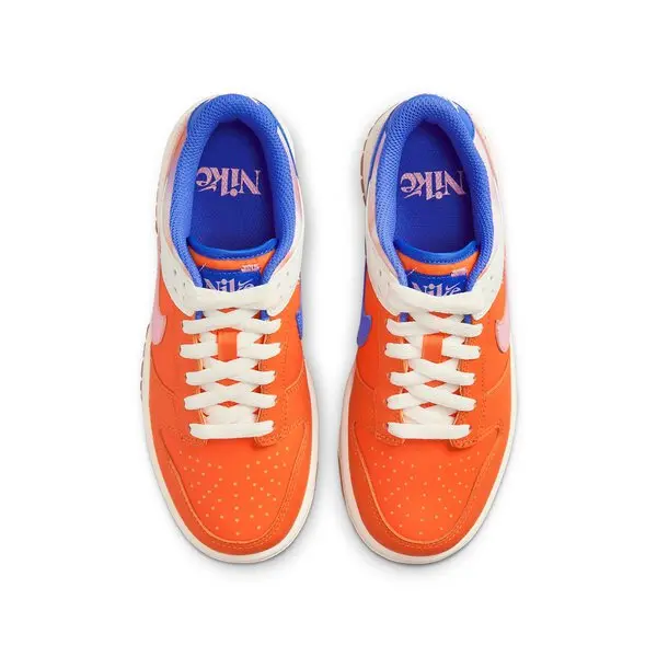 Nike Dunk Low "everything You Need" Sneakers