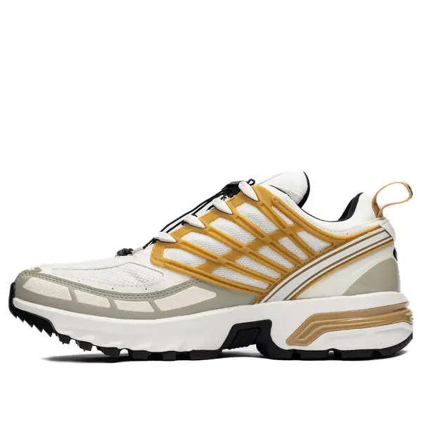 SALOMON Acs Pro Gore-tex Trail Running Shoes