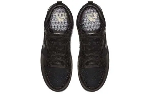 Nike Zoom Dunk High Pro 'black