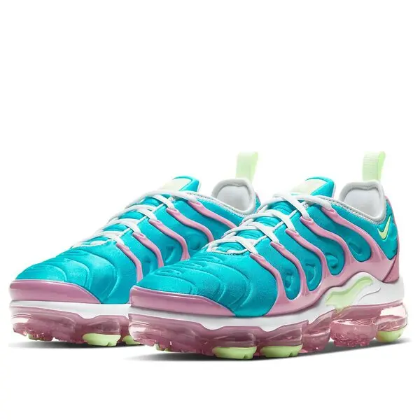 Nike Vapormax Plus Sneakers - Blue/pink