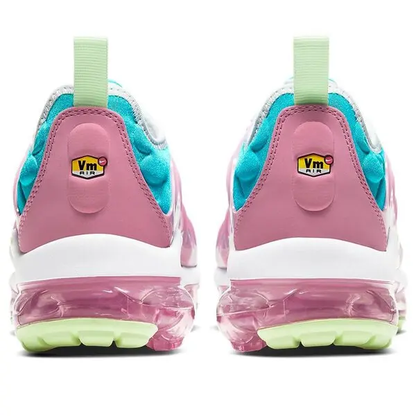 Nike Vapormax Plus Sneakers - Blue/pink