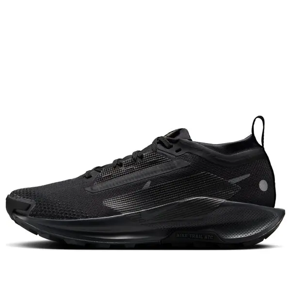 Nike Pegasus Trail Gore-tex Sneakers - Black/anthracite