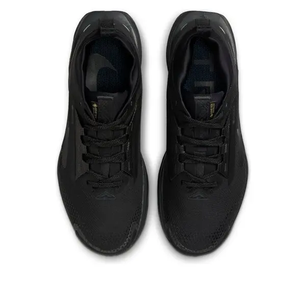 Nike Pegasus Trail Gore-tex Sneakers - Black/anthracite