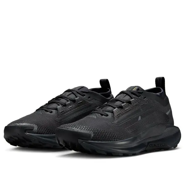 Nike Pegasus Trail Gore-tex Sneakers - Black/anthracite