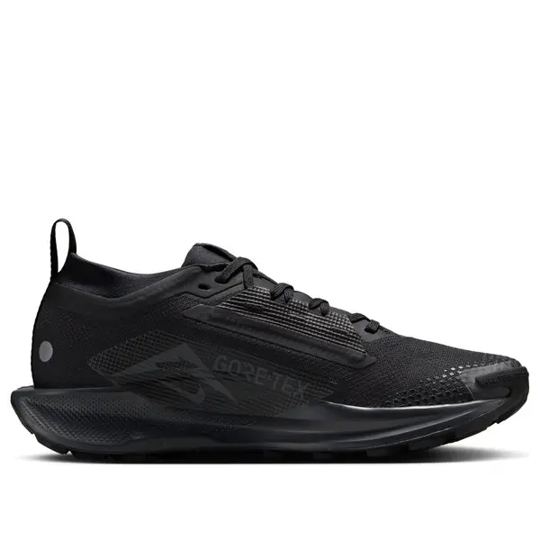 Nike Pegasus Trail Gore-tex Sneakers - Black/anthracite