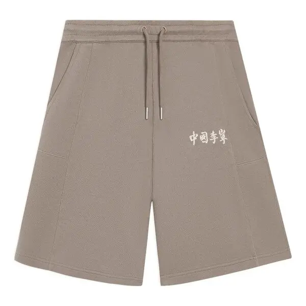 LI-NING Embroidery Logo Straight Shorts - Brown