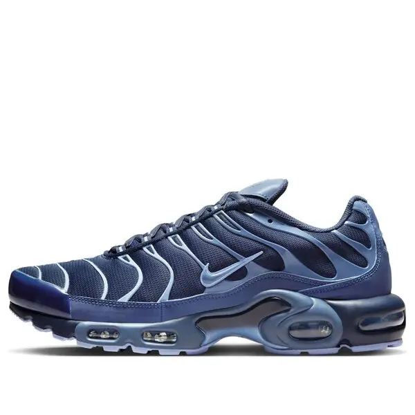 Nike Max Plus Sneakers - Obsidian/aluminum/diffused Blue