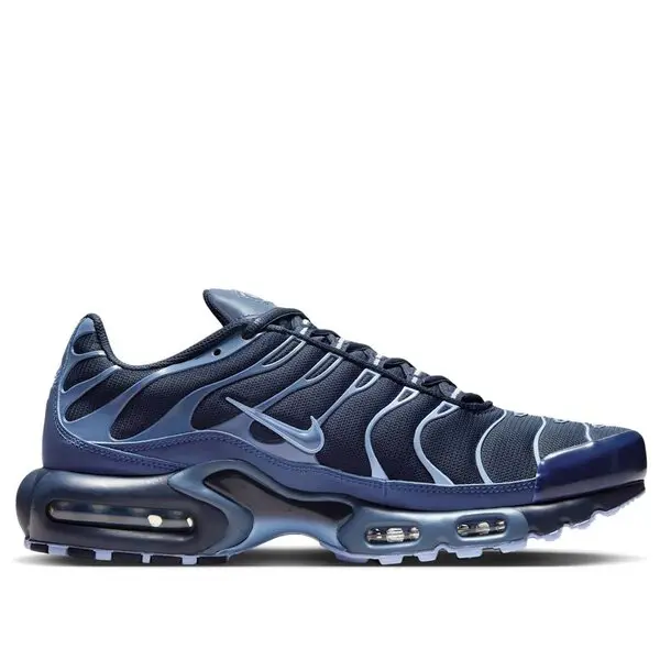 Nike Max Plus Sneakers - Obsidian/aluminum/diffused Blue