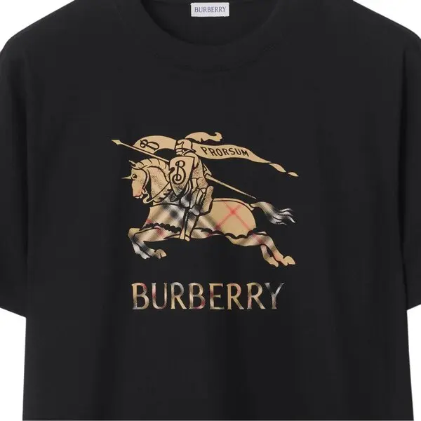Burberry 26 Ekd Ombré Cotton T-shirt