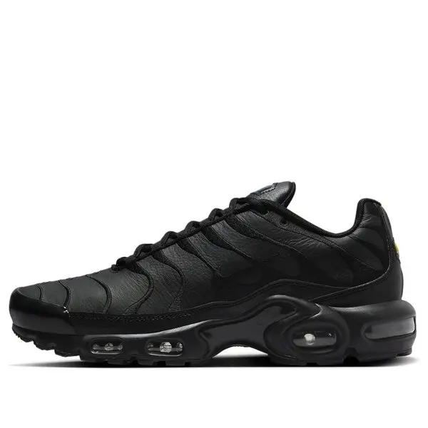 Nike Max Plus Tn Sneakers - Black