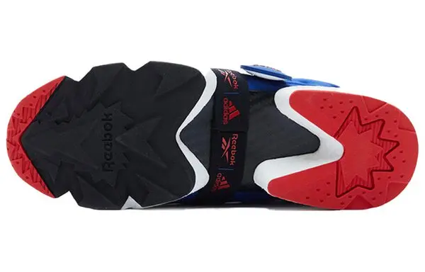 REEBOK Instapump Fury Boost Low Top Sneakers