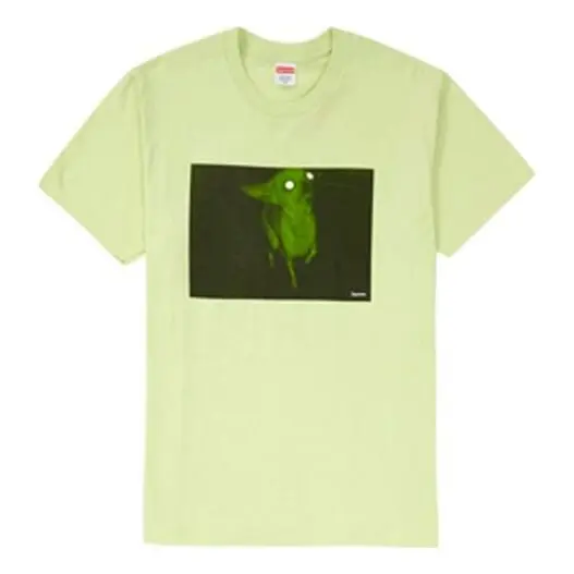 Supreme Fw18 Chris Cunningham Chihuahua Pale Mint Tee - Green