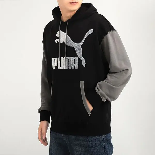 PUMA Colorblock Hooded Sports Sweatshirt