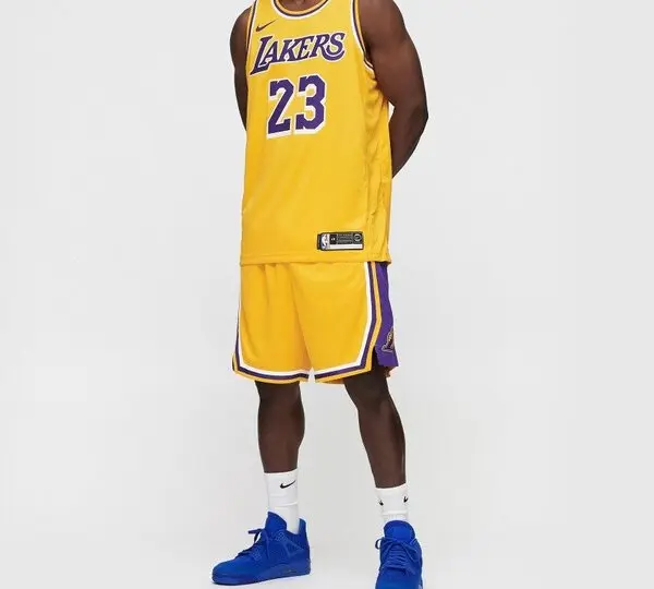 Nike Lebron James Icon Edition Swingman Los Angeles Lakers - Yellow