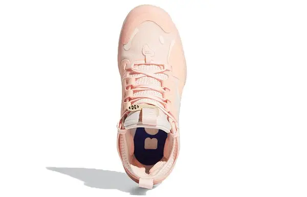 Adidas Harden Vol. 5 "icey