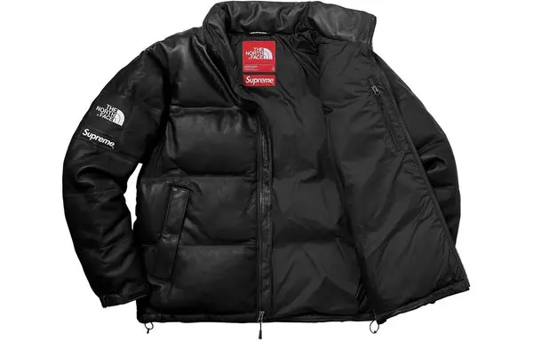 Supreme Fw17 X The North Face Leather Nuptse Jacket - Black