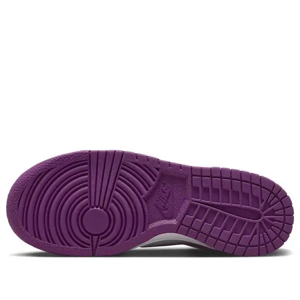 Nike Dunk Low 'viotech' Sneakers