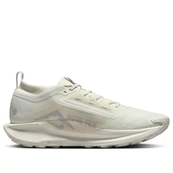 Nike Pegasus Trail Gore-tex Sneakers