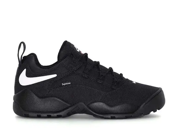 Nike Darwin Low Supreme Black Sneakers - Black/grey
