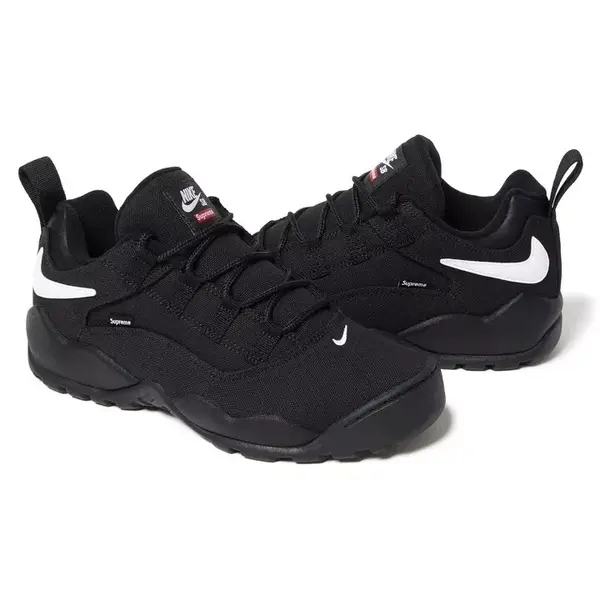 Nike Darwin Low Supreme Black Sneakers - Black/grey