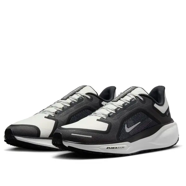 Nike Zoom Pegasus 41 Gore-tex Sneakers - Summit White/iron Grey