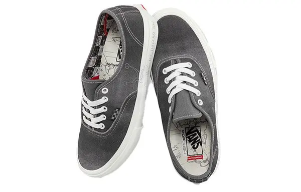 VANS Daniel Johnston X Skate Authentic 'hi, How Are You Project' Sneakers