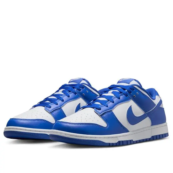 Nike Dunk Low Sneakers