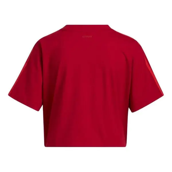 Adidas X Ivy Park Crop T-shirt