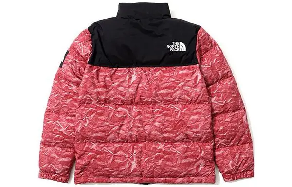 The North Face Novelty Nuptse Down Jacket