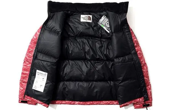The North Face Novelty Nuptse Down Jacket