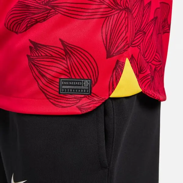 Nike Dri-fit Guangzhou F.c. Soccer Jersey