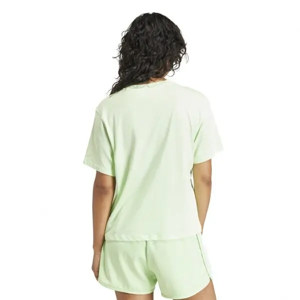 Adidas Adicolor Trefoil Boxy T-shirt - Green