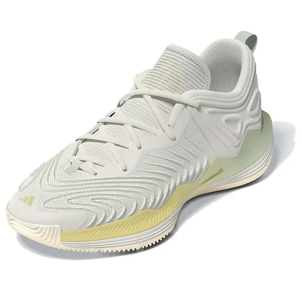 Adidas D Rose Son Of Chi 3 Sneakers