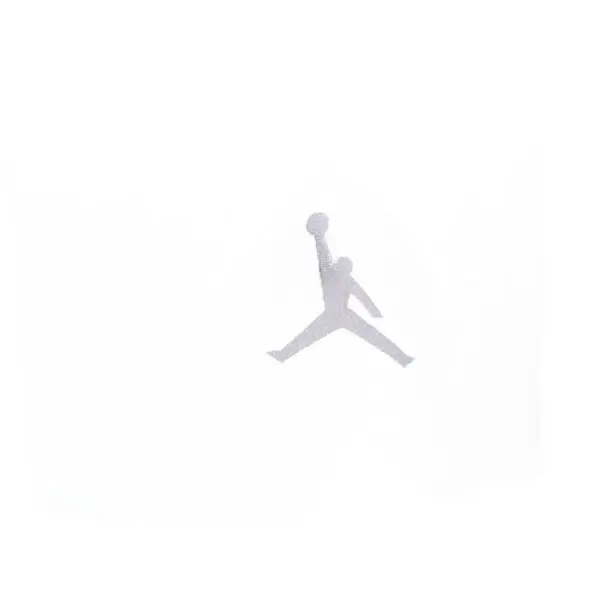JORDAN X Nina Chanel Abney Shorts