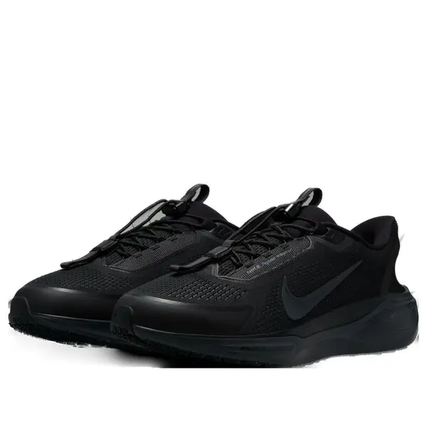 Nike Zoom Pegasus 41 Easyon Sneakers - Black Anthracite