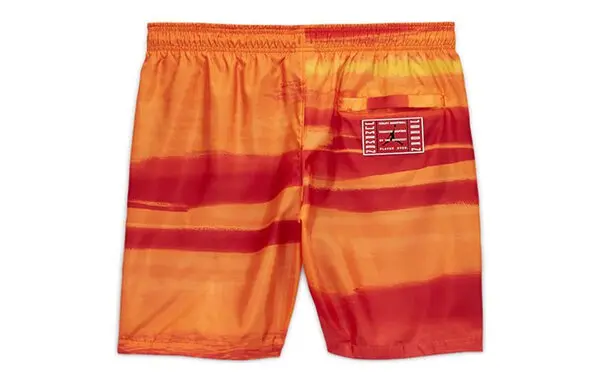 Nike Jordan Aj11 Aop Shorts