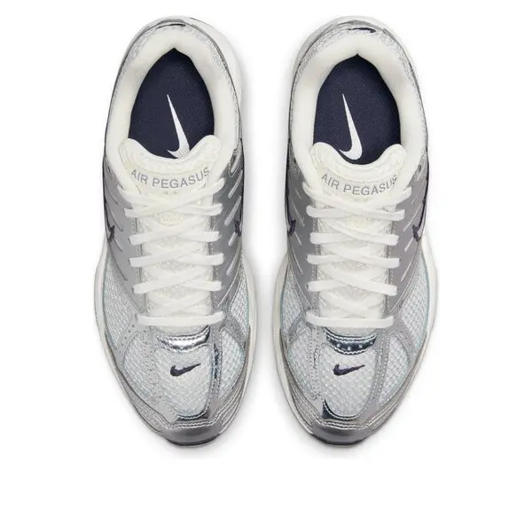 Nike Zoom Pegasus 2005 "chrome - Black